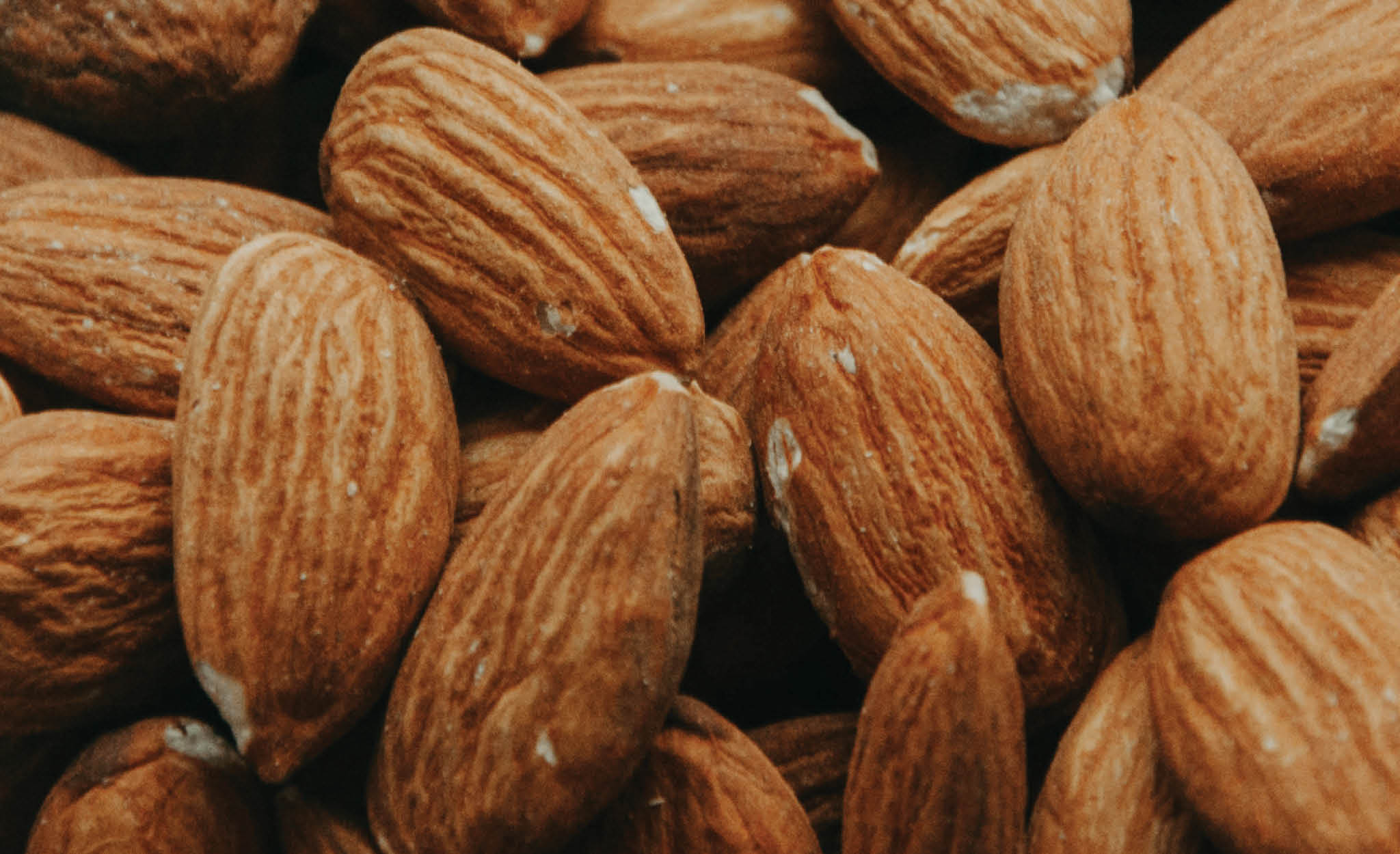 The Story of Almonds: From Rags to Riches. – HOLOS
