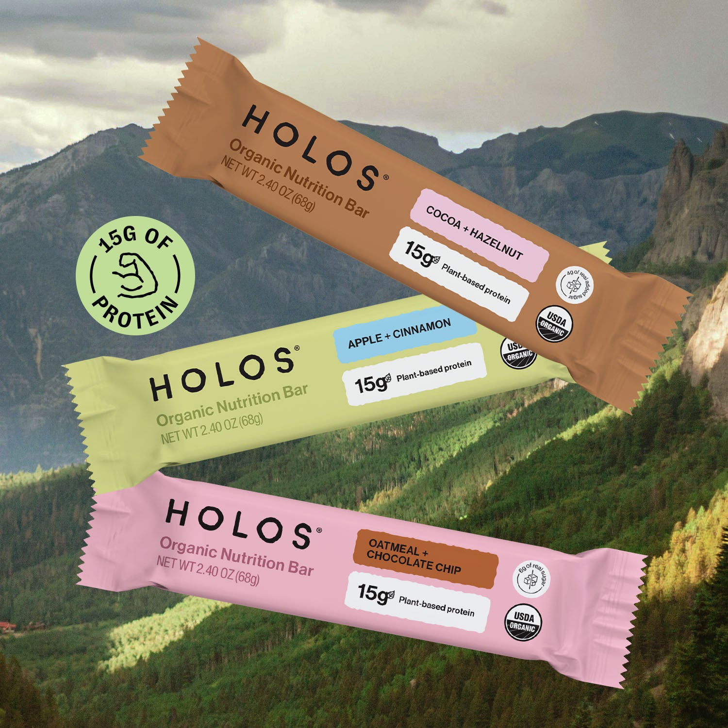 High Protein Breakfast | HOLOS Organic Protein Overnight Oats